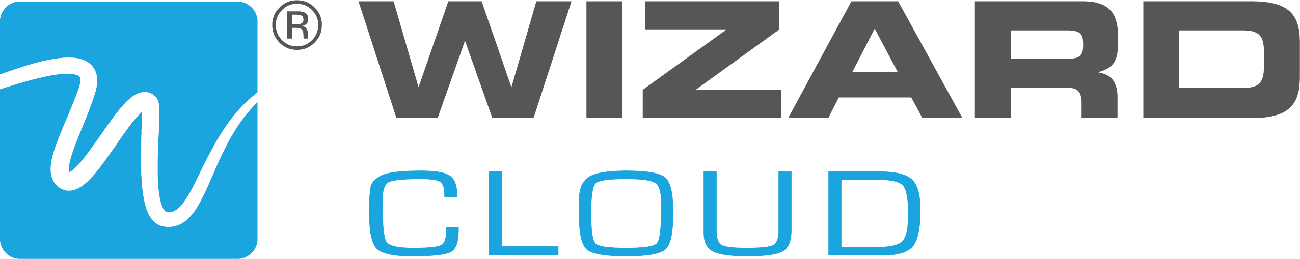 Wizard Solutions. - Client Portal